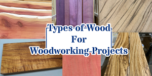 Types Of Wood For Woodworking Projects 2024 - Wood It Good